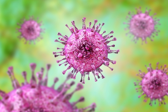 Infectia cu citomegalovirus: simptome, transmitere, diagnostic si tratament